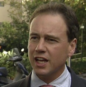 Greg Hunt: The 'extreme left is against electricity'