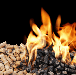 10 reasons why burning wood waste for electricity should not be ...