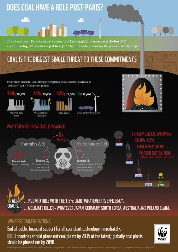 Coal is a climate killer - whatever its efficiency is