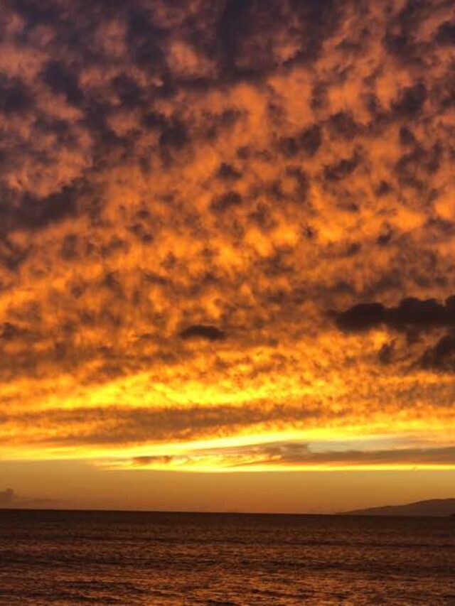 Coalition says no to Future Made in Australia bill as Greens question ...