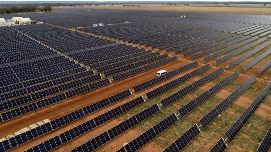 Signs of life at new NSW solar farm, with first generation entering the ...