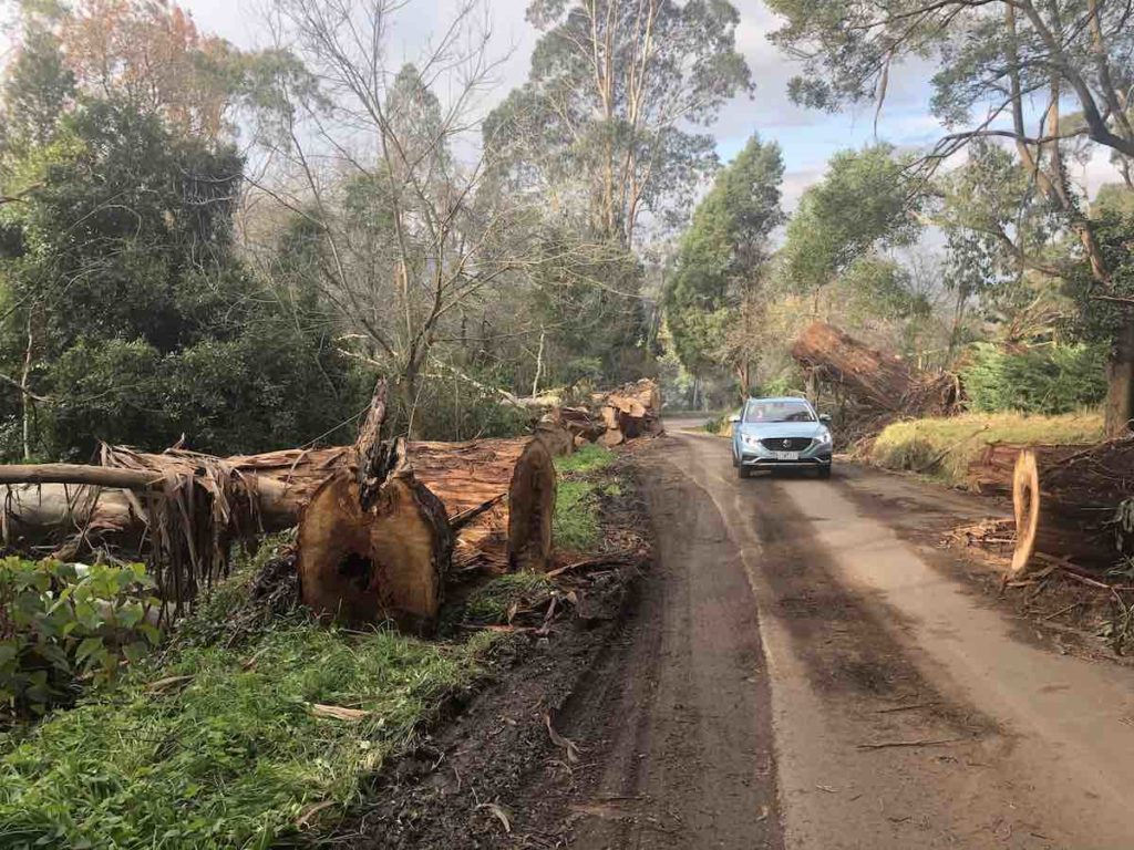 Three weeks without power? That’s the reality for thousands in Victoria ...