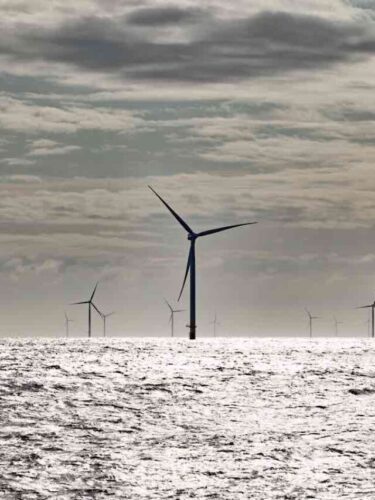 VicGrid proposes transmission route to link offshore wind farms to ...