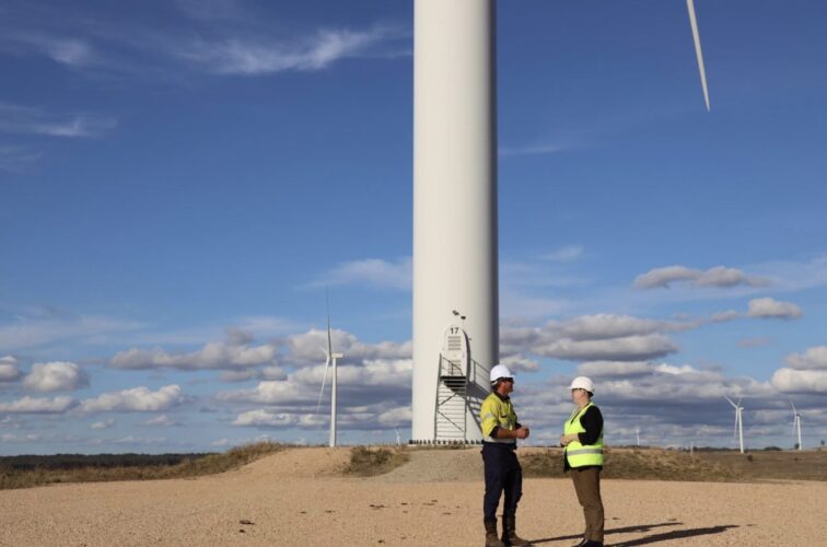 State launches its biggest ever renewable tender "to keep lights on ...