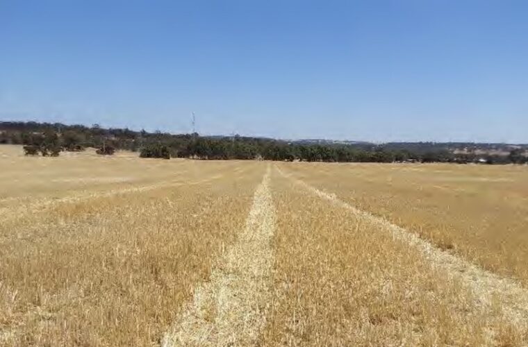 BHP signs deal with W.A.'s biggest solar farm to supply half of ...