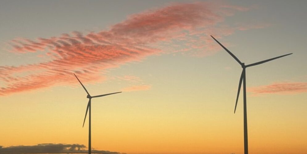 Golden Plains becomes biggest operating wind farm in Australia, pushes ...